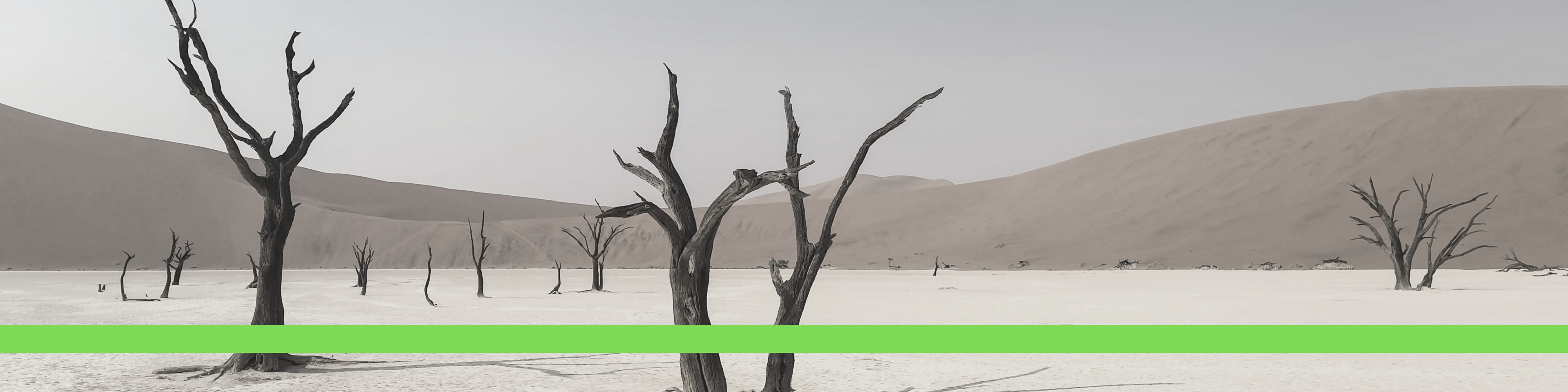 ECB Climate Risk Stress Test